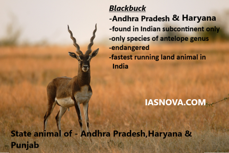 List of Endangered and State Animals of India - IAS NOVA