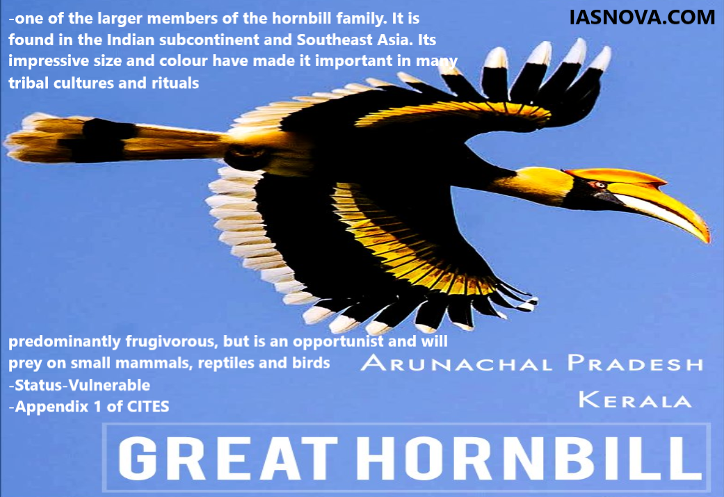 LIST OF STATE BIRDS AND ENDANGERED BIRDS IN INDIA - IAS NOVA