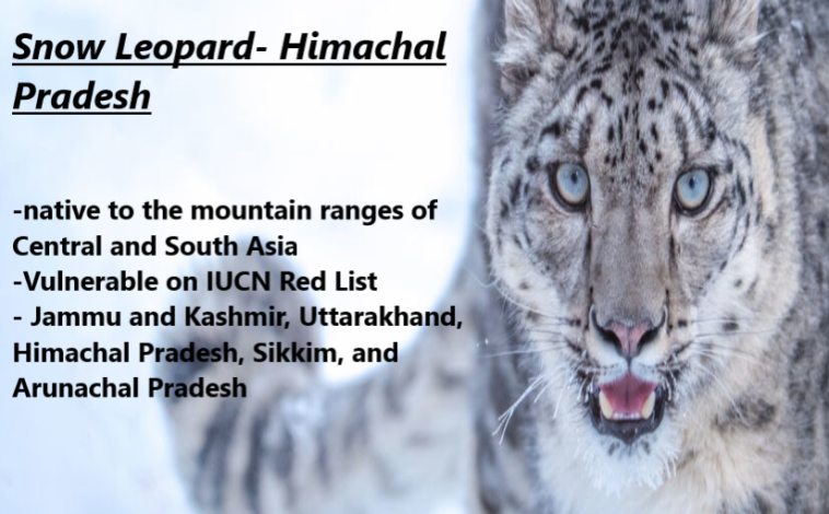 List of Endangered and State Animals of India – IAS NOVA